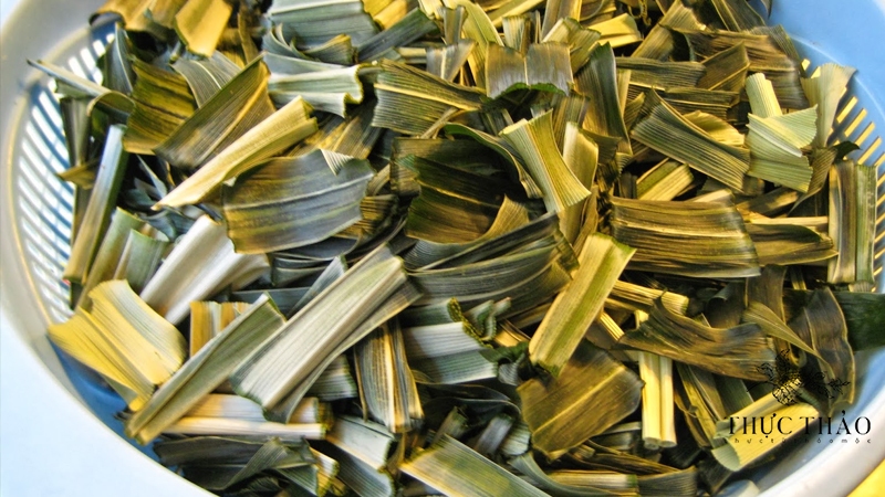 NHỮNG CÔNG DỤNG BẤT NGỜ CỦA LÁ DỨA ĐỐI VỚI SỨC KHỎE CON NGƯỜI